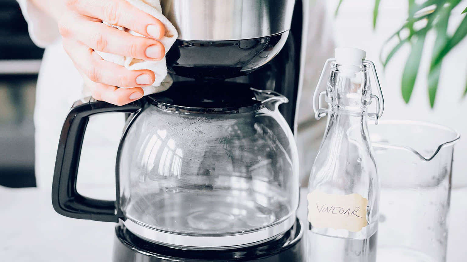 How to Clean a Coffee Machine in the Easiest Way?